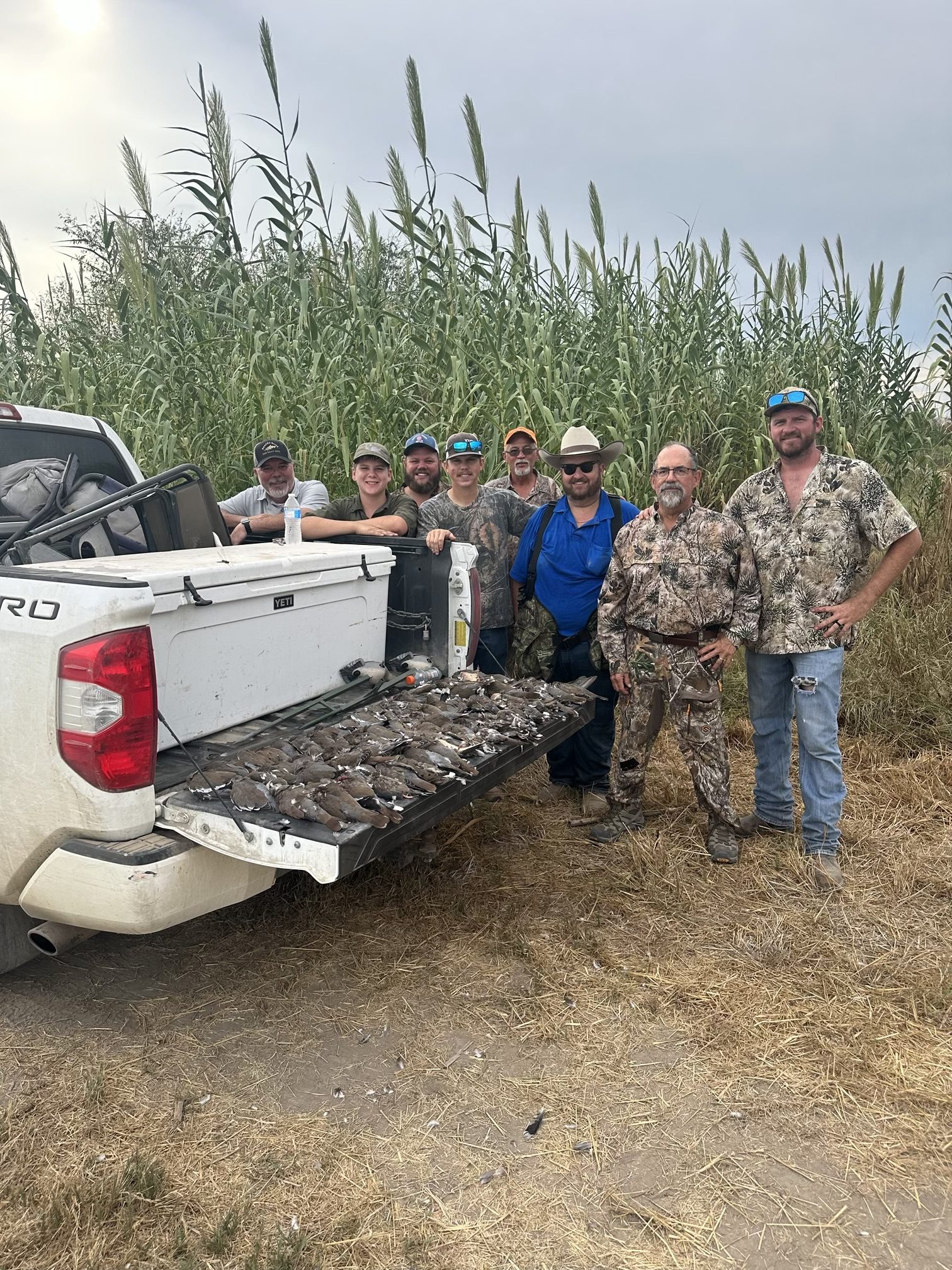 Gallery – White Wing Fields