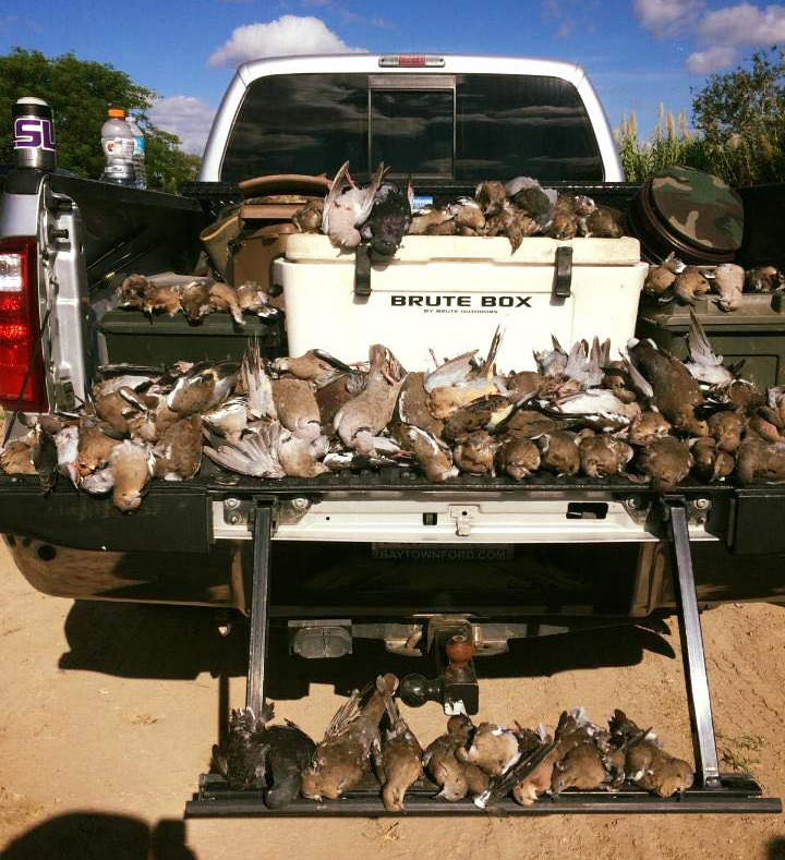 Why Hunt With Us? – White Wing Fields